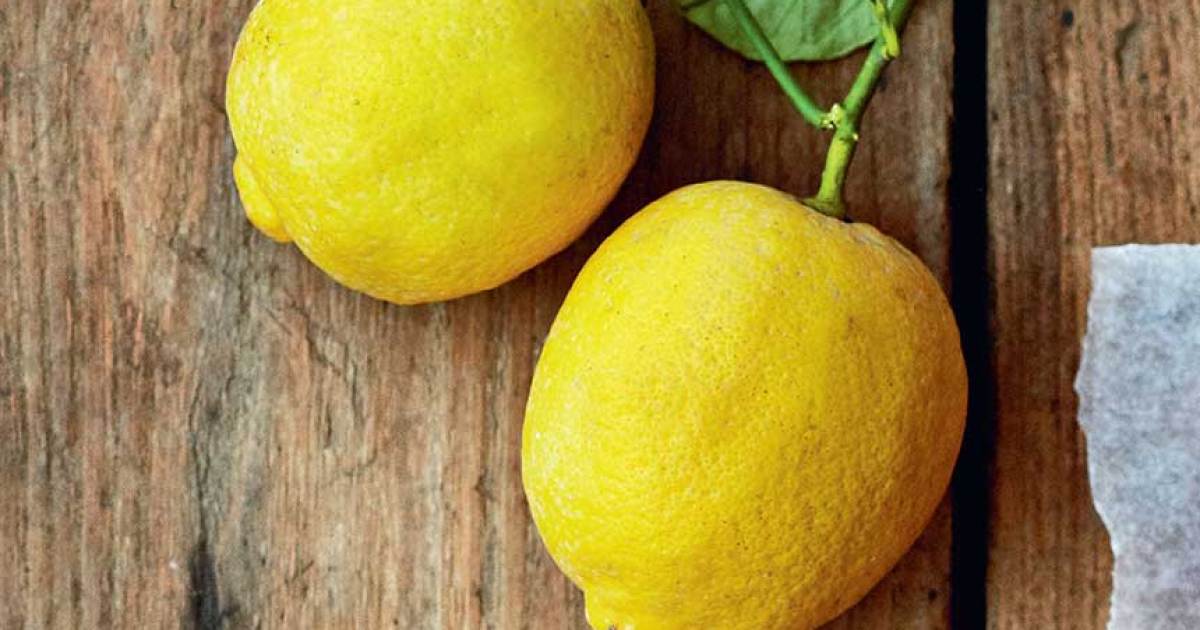 Lemons are in season ... try these 10 zesty recipes | The New Daily