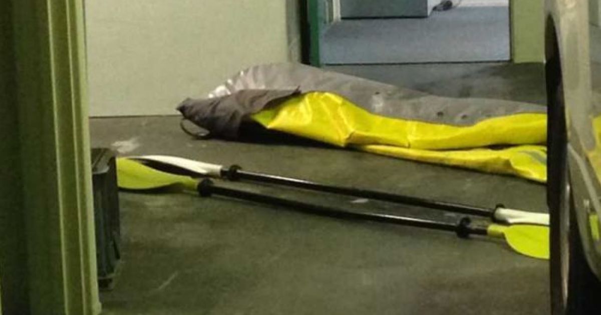 Shark attacks inflatable boat off WA coast | The New Daily