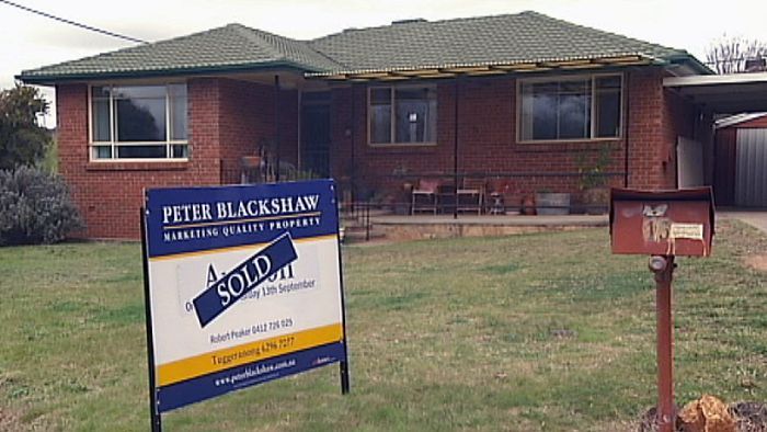 Mr Fluffy homes: how do we actually sell them? | The New Daily