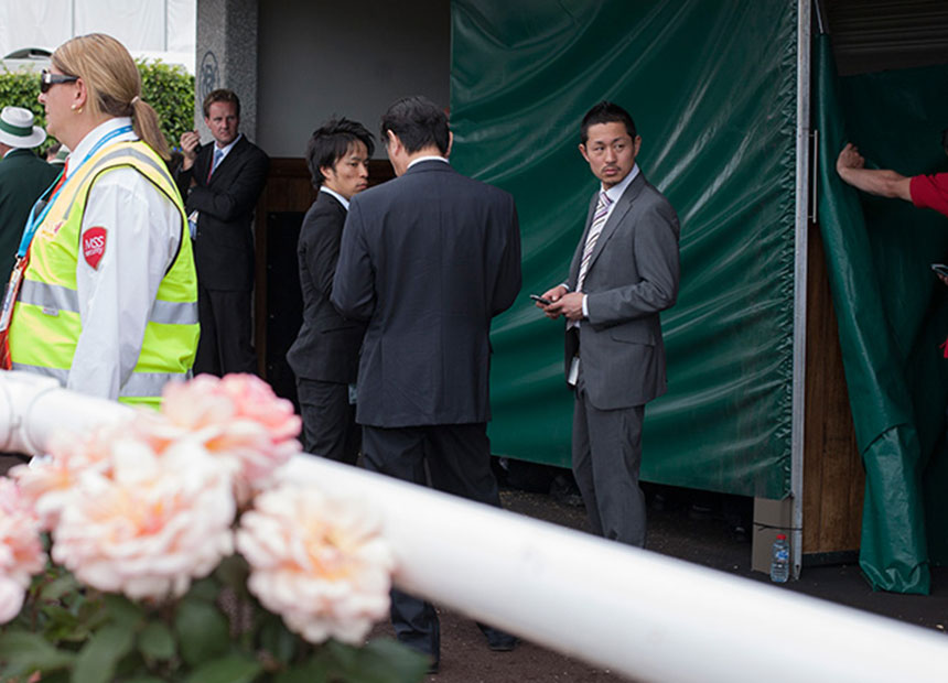 Anger over Melb Cup deaths | The New Daily