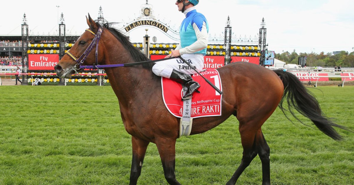 Admire Rakti died of natural causes after Cup | The New Daily