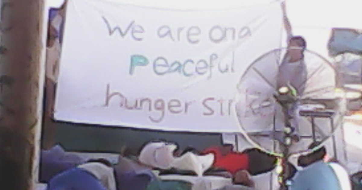 Asylum seekers on hunger strike pledge to donate organs to Australians ...