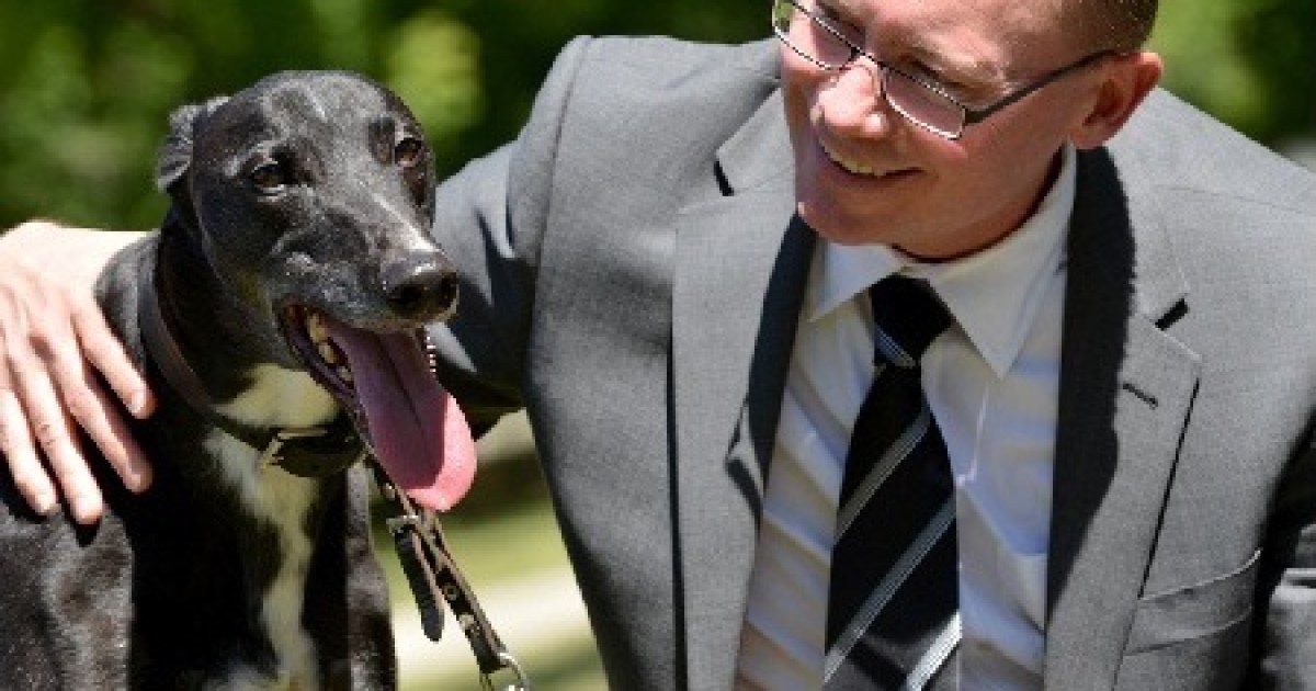 Live bait allegations hit greyhound racing | The New Daily