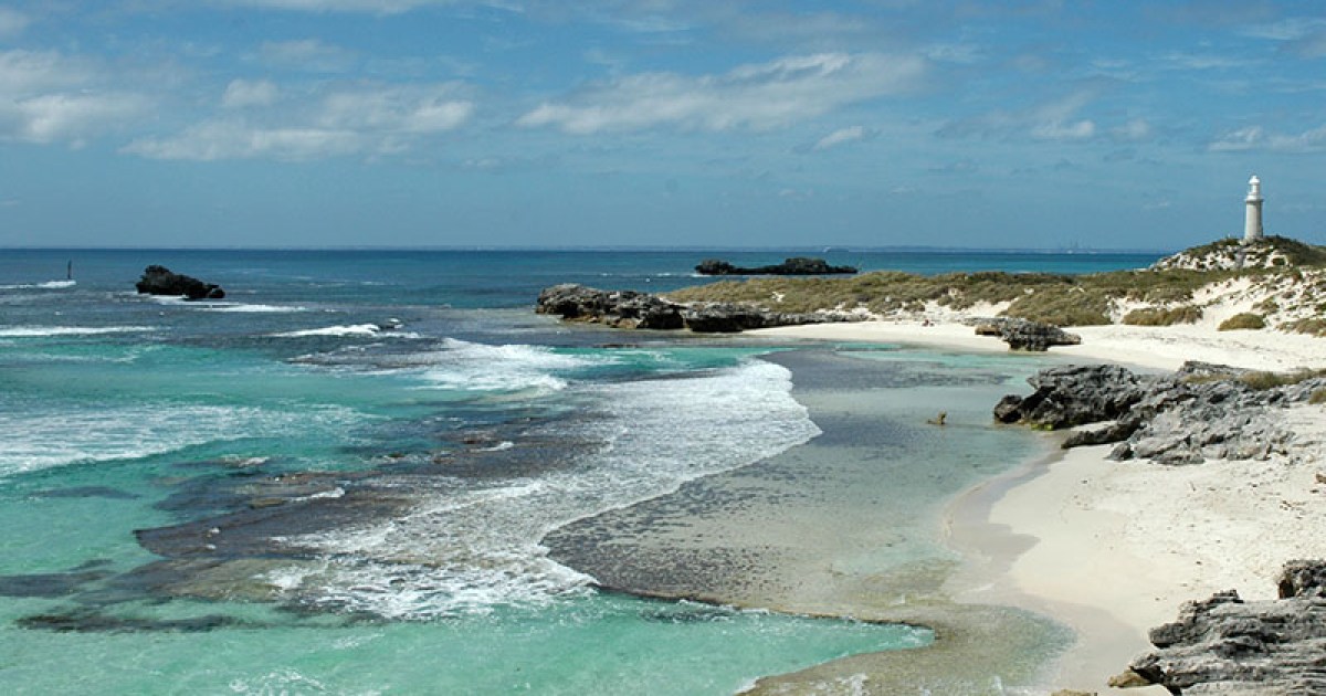 Boat sinks, swimmers rescued in Rotto swim | The New Daily