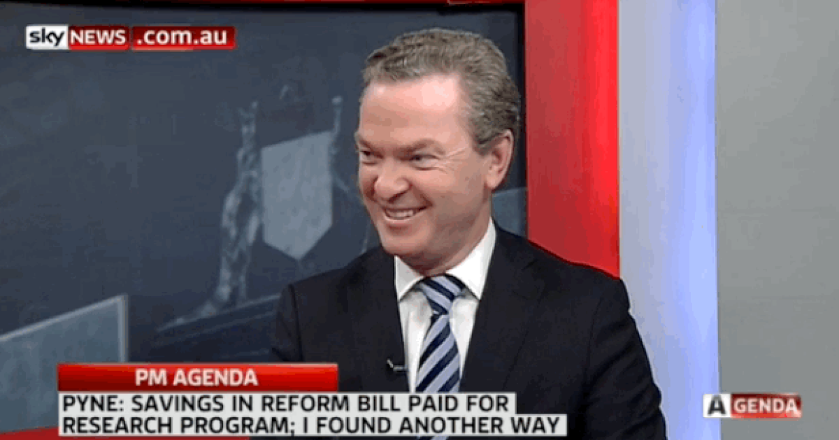 Christopher Pyne dubs himself a 'fixer' in awkward interview