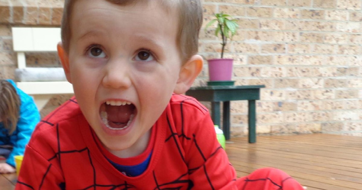 Tyrell search: bones belong to animal | The New Daily