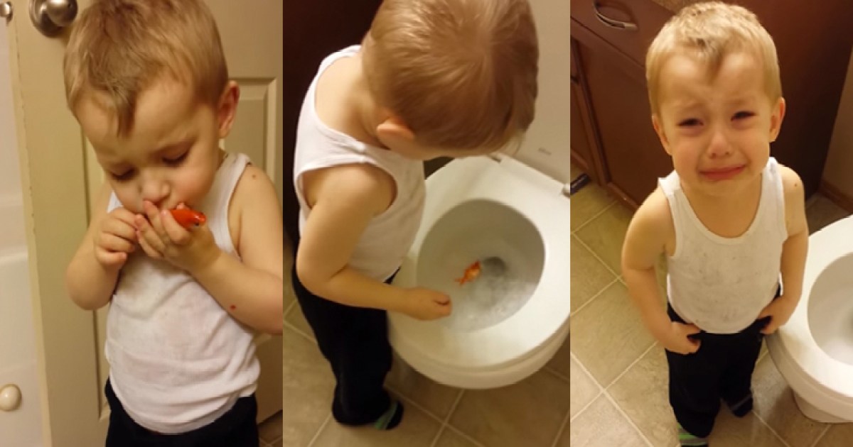 Boy holds funeral for fish in heart-breaking video | The New Daily