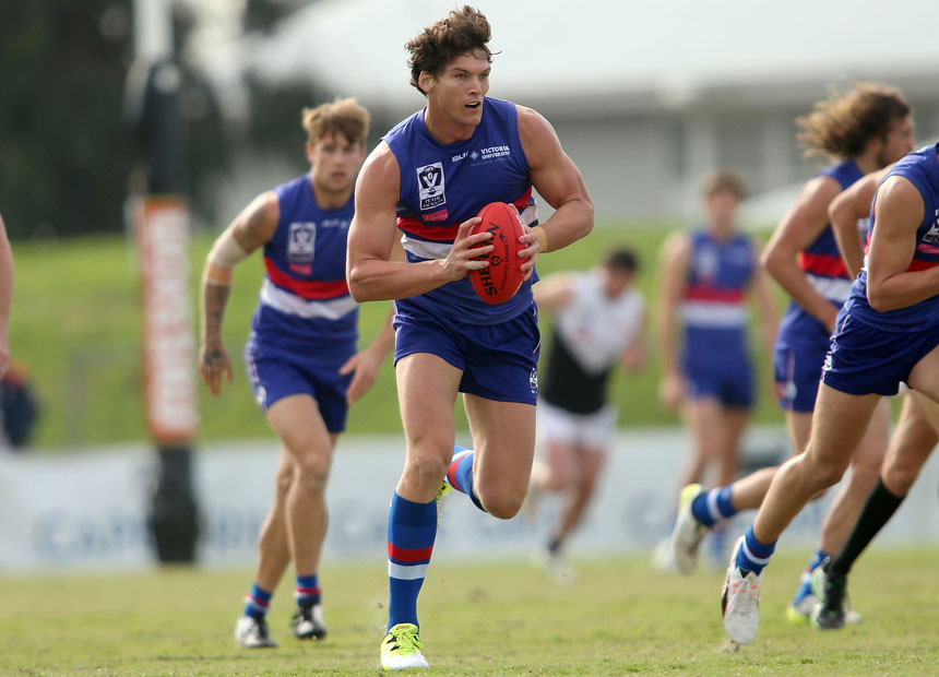 Dogs make six changes, Minson in | The New Daily