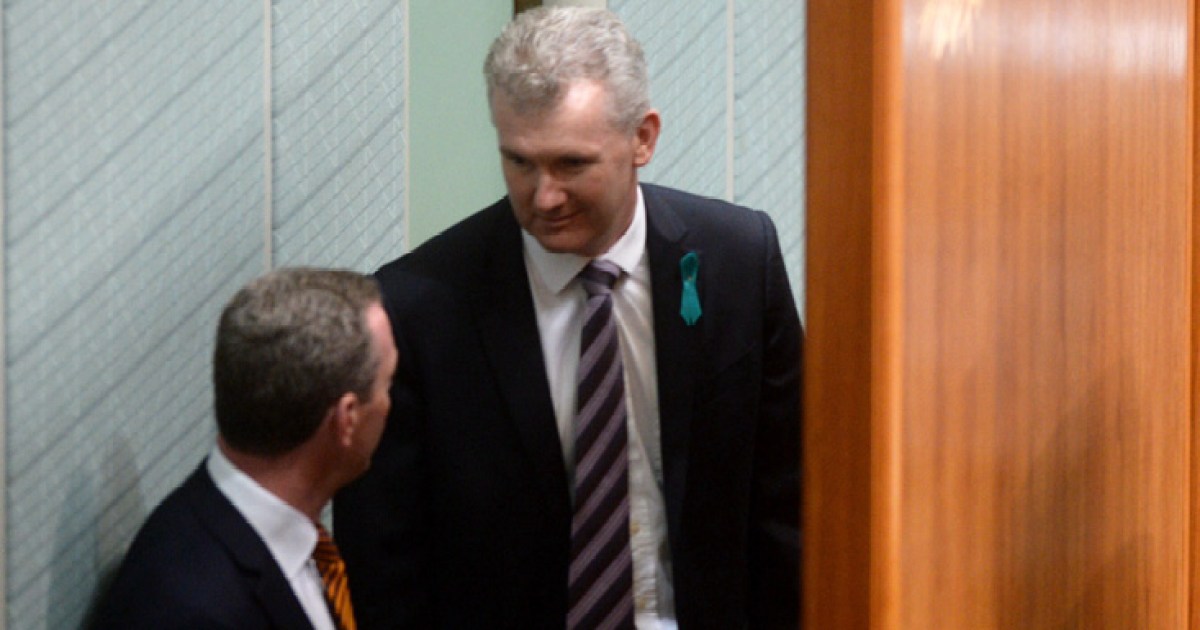 Liberal defends Tony Burke's first class flights | The New Daily