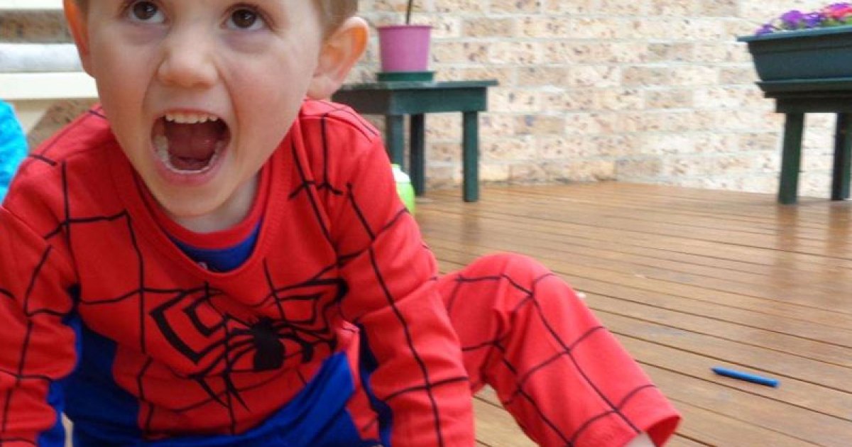 Marathon William Tyrrell inquest nears finish line