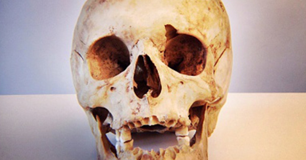 'Hobbit' humans evolved into new species