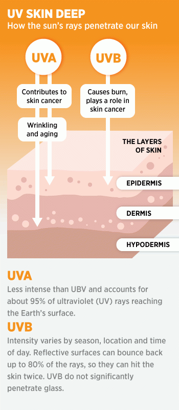Sunscreens fail the SPF test | The New Daily