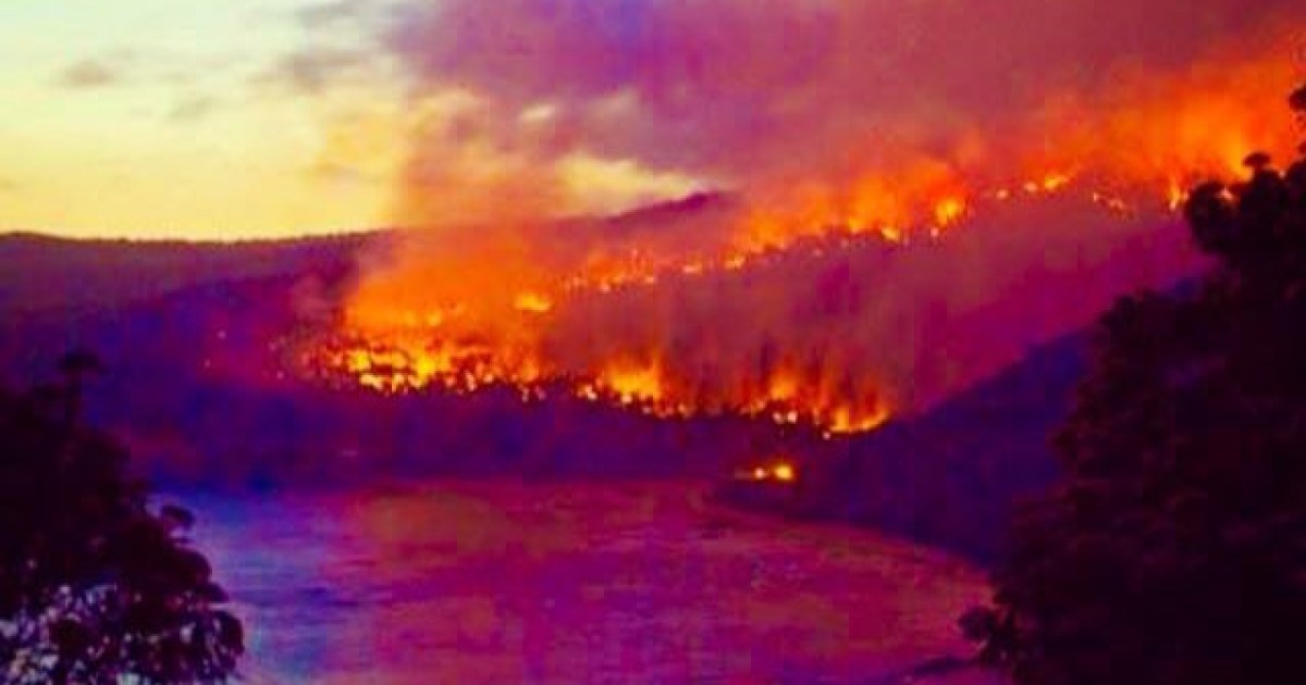 Christmas bushfire devastation in pictures | The New Daily