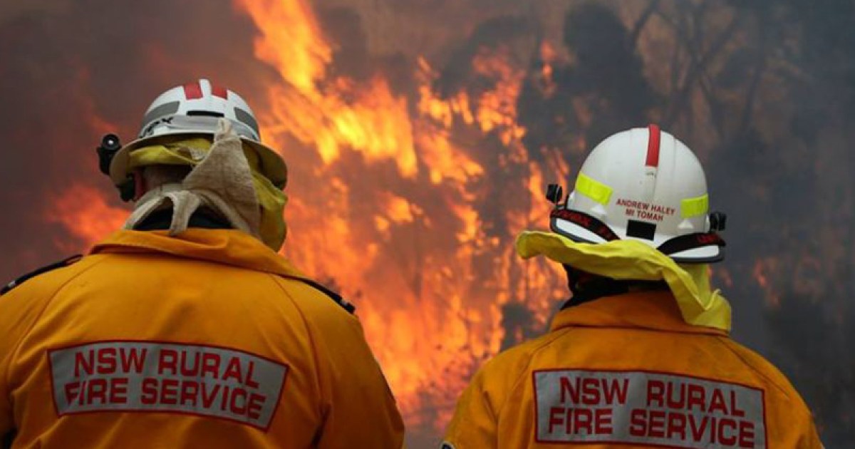 Extreme heat, winds lead to fire bans in NSW | The New Daily