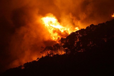 Victoria News | VIC News | The New Daily