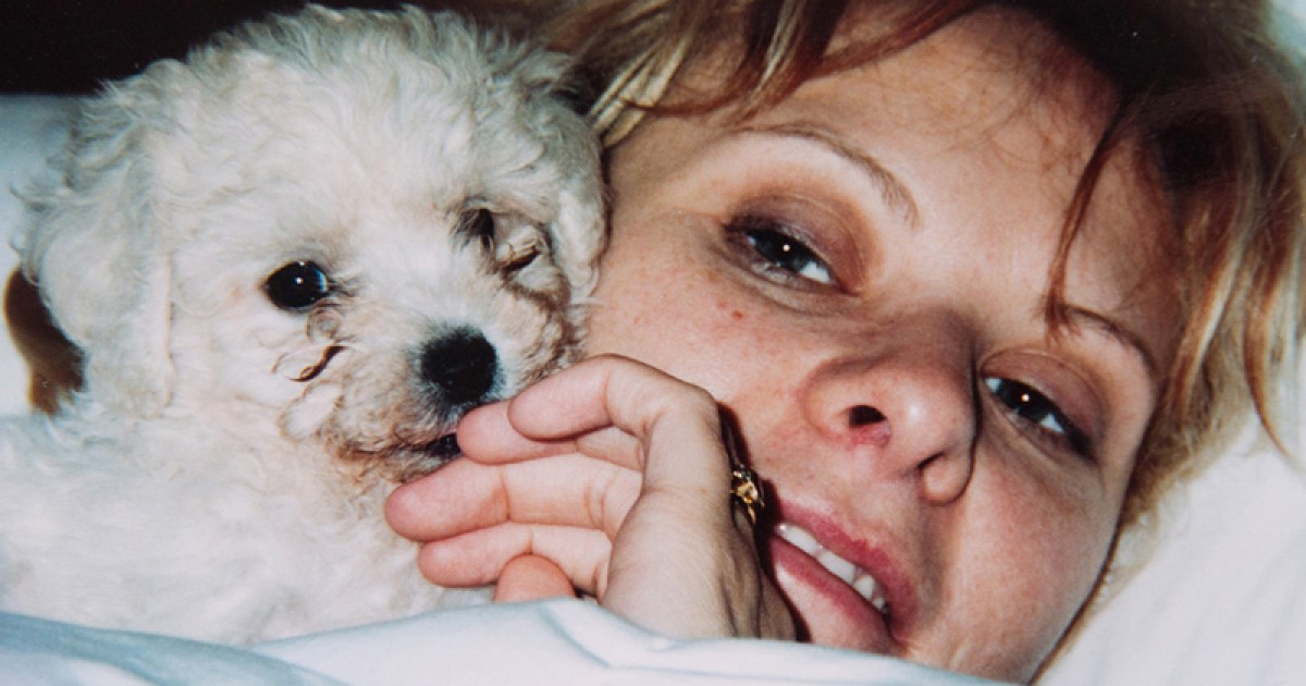 Hello Dolly: pooch and owner's miracle reunion | The New Daily