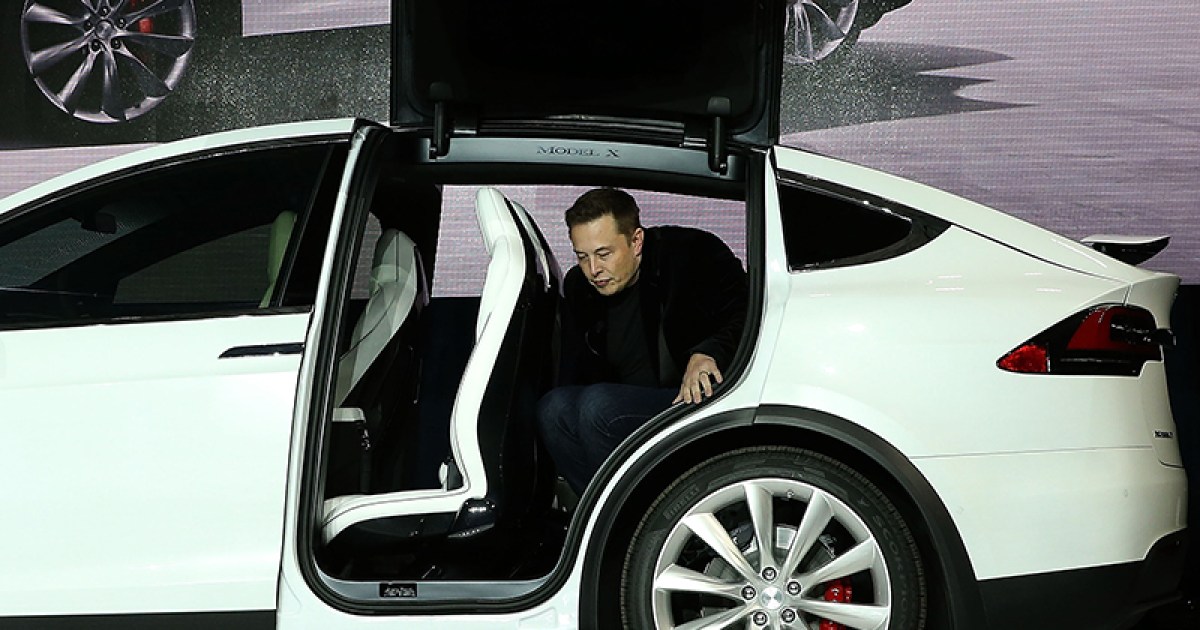 Jilted elephant's rampage and Tesla's spiteful act | The New Daily