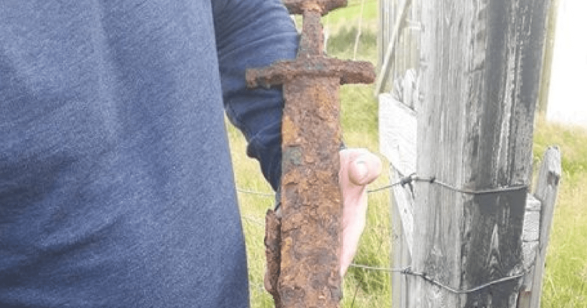 Goose hunters find millennium-old Viking sword in Iceland | The New Daily