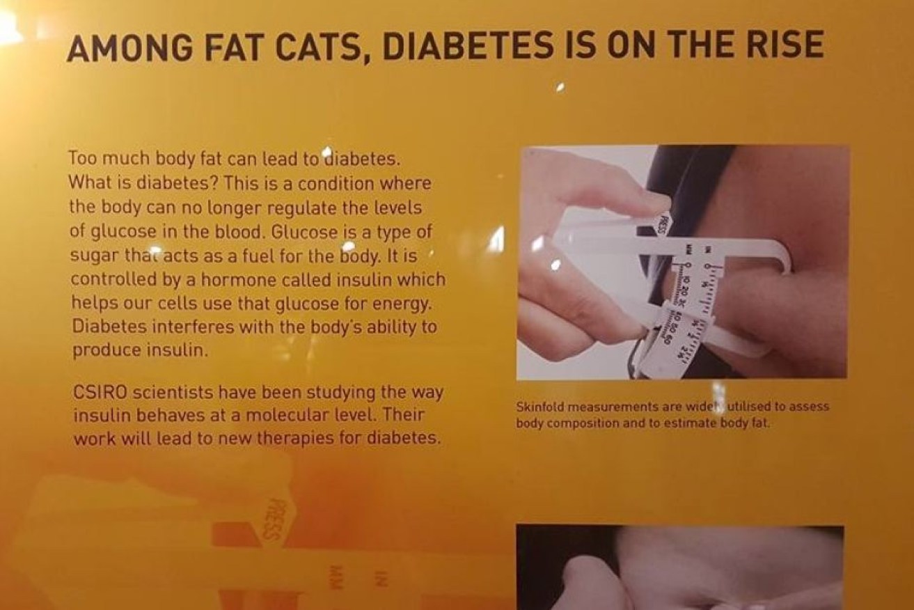 outdated CSIRO poster calling diabetics 'fat cats' removed