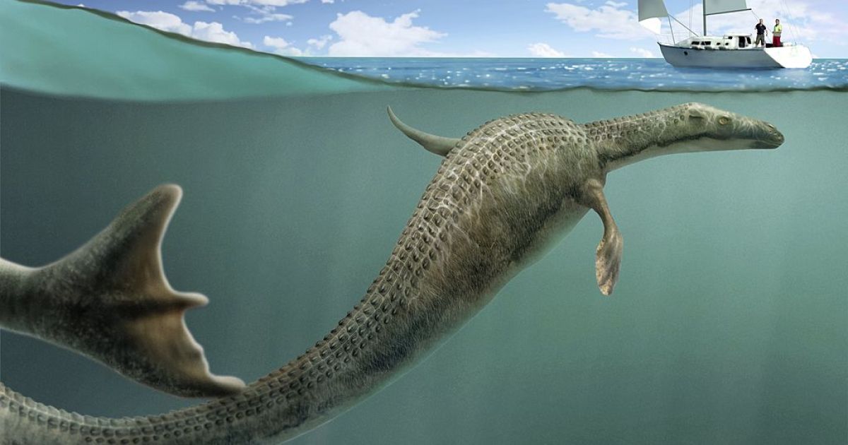 Video captures Alaska's own Loch Ness Monster