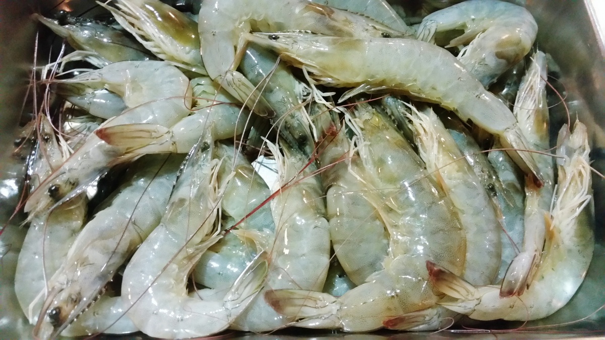 Why raw prawns are about to get more expensive