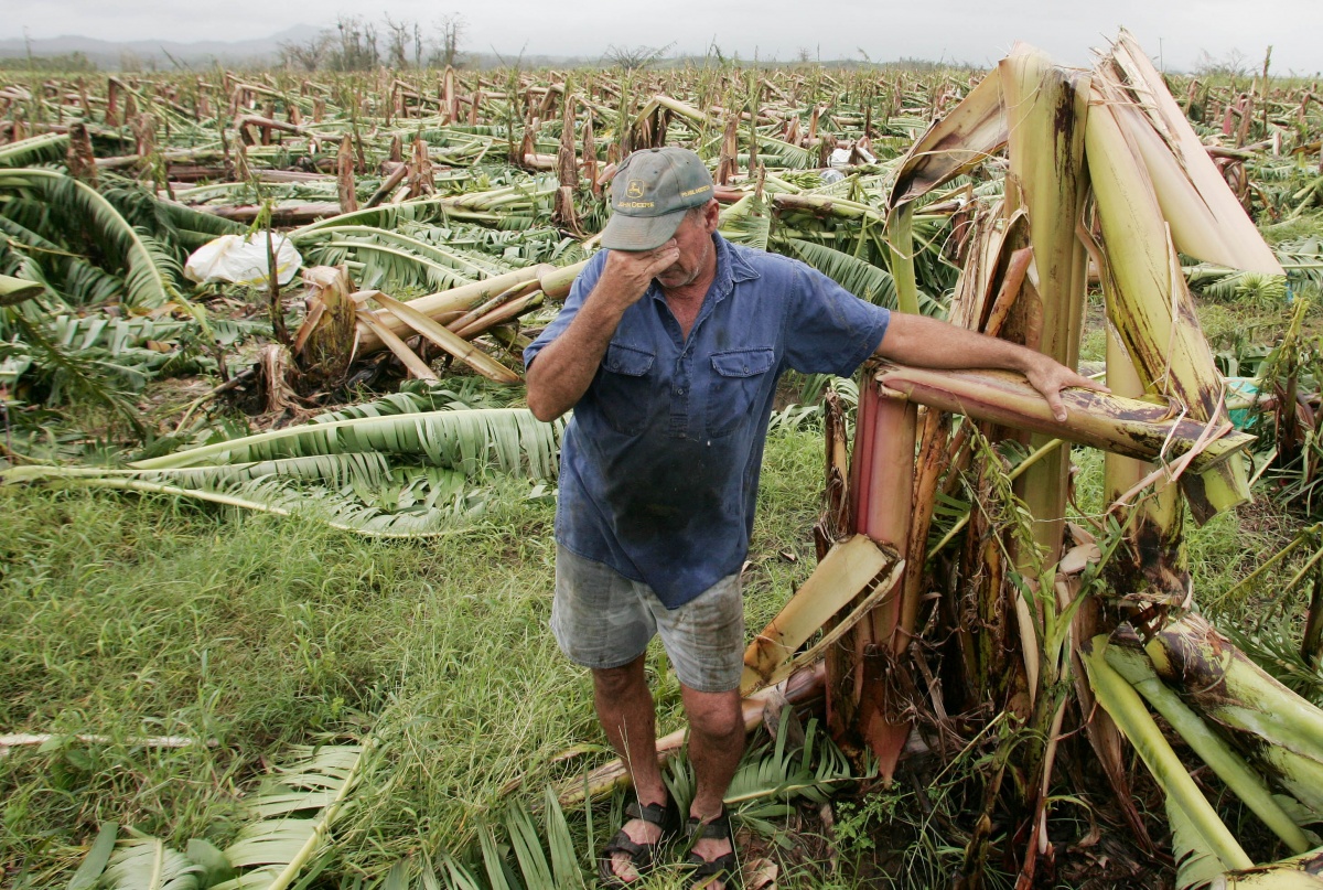What Cyclone Debbie could do to Australia's fruit prices