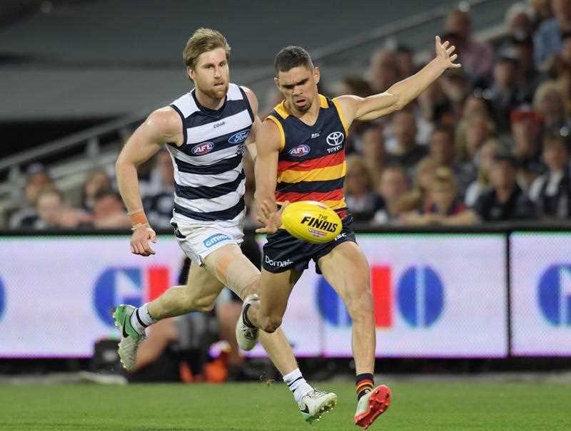 AFL finals 2017: Unstoppable Crows give Cats a footy lesson