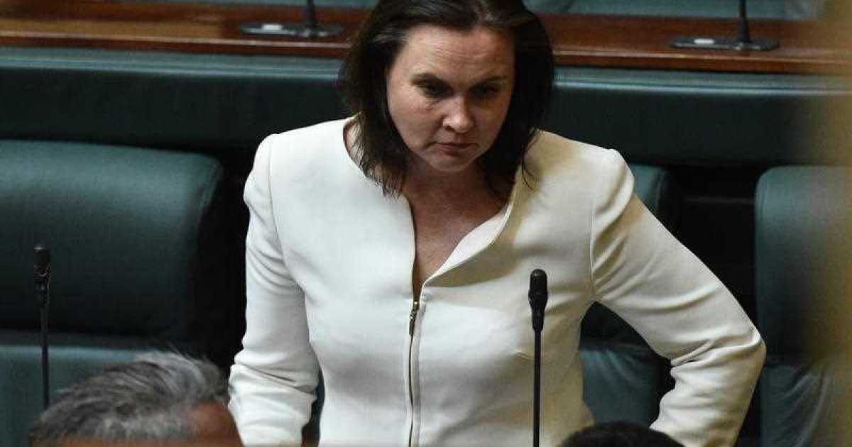 Labor MP Jane Garrett set to make move to Victorian Upper House