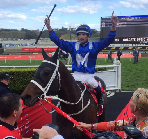 Champion mare Winx wins her 20th successive race