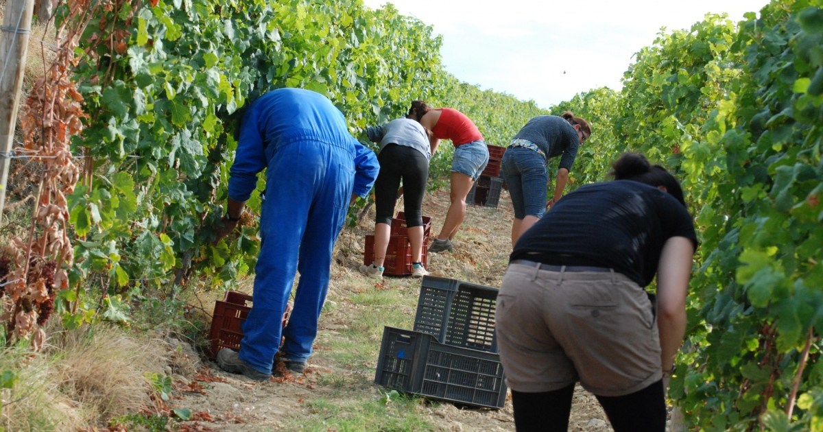 Overseas workers shockingly exploited, report reveals