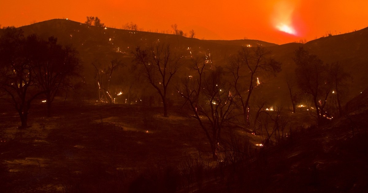 'Vast human misery': Scientists' warning of global destruction