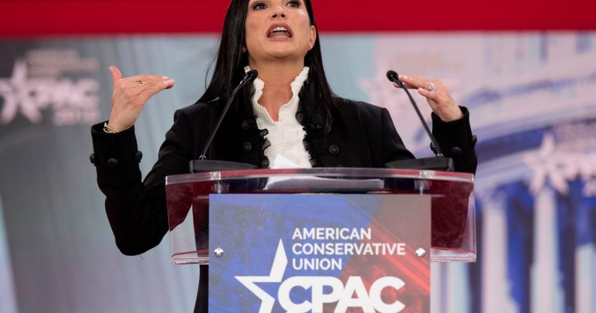 Dana Loesch: From mummy blogger to gun rights guardian