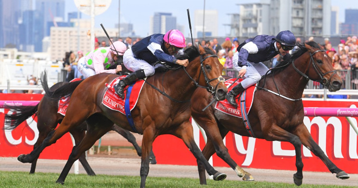 A jockey's journey from apprentice to winning | The New Daily