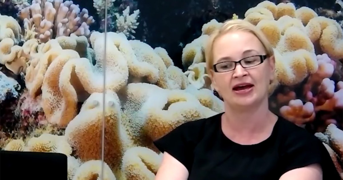 Reef boss was left out of grant due diligence | The New Daily