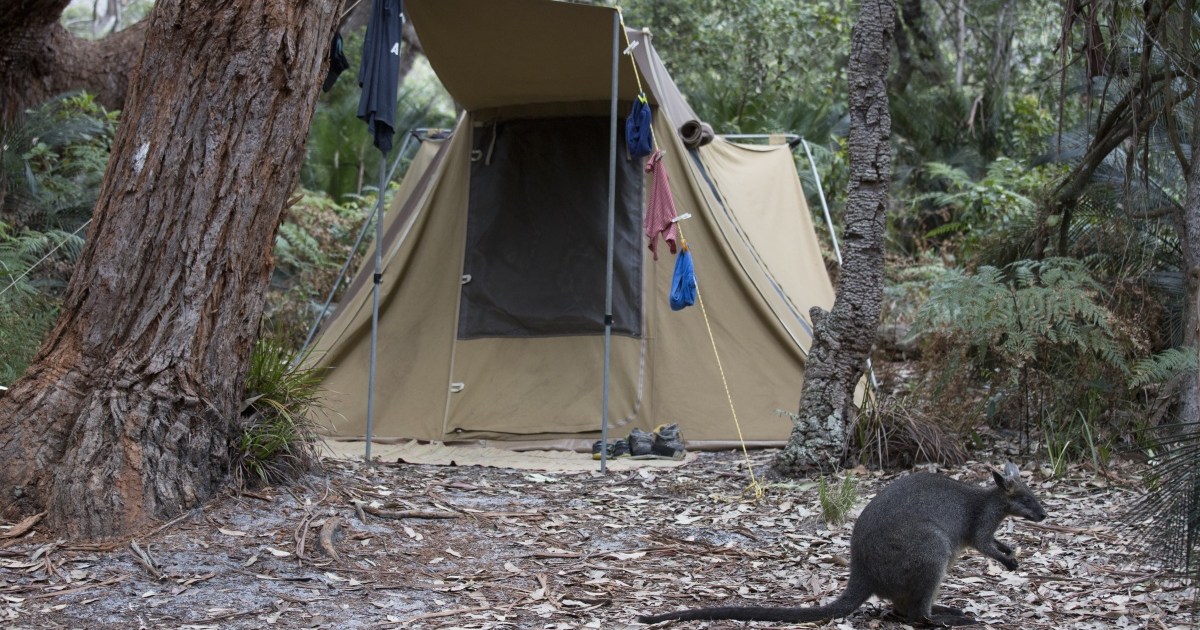 How to get bush camping right | The New Daily