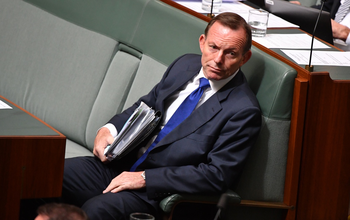Coulda been a contender: Why Tony Abbott keeps on punching