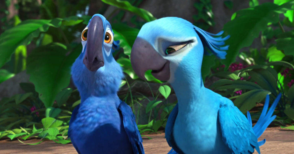 'Blu' macaw that inspired Rio listed as extinct