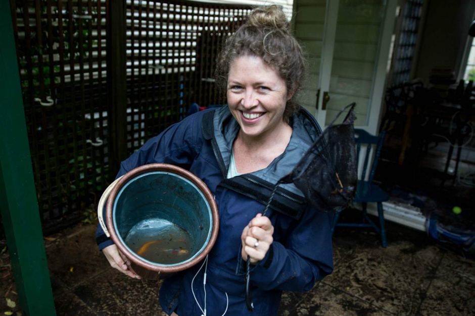 Fish finding its way home in Sydney flash flooding