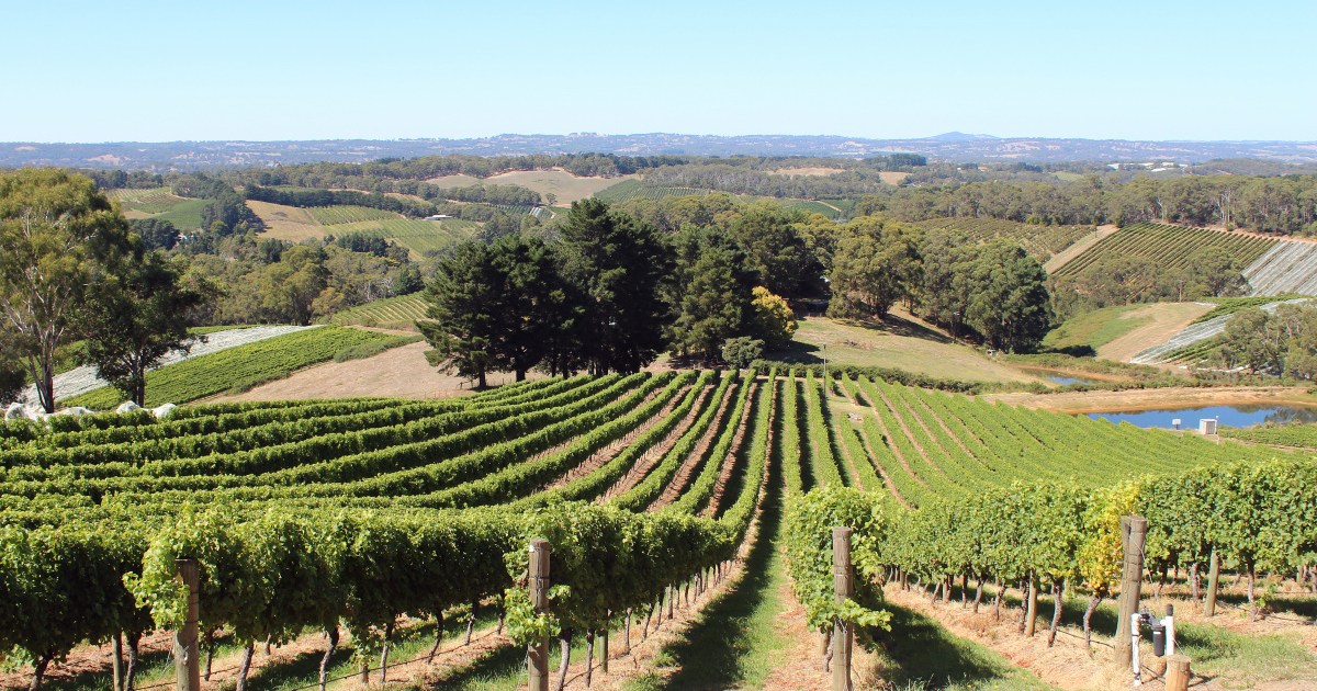 Winery hit with record fine for pipeline water theft