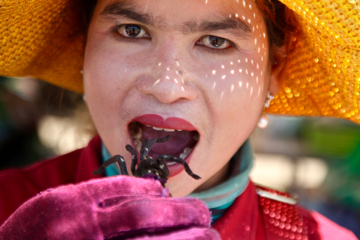 The town that eats spiders | The New Daily