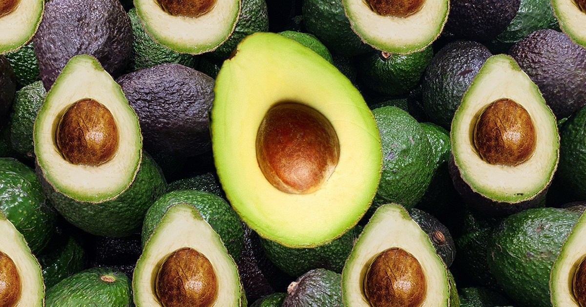 Avocado boom persists as record crop signals even lower prices