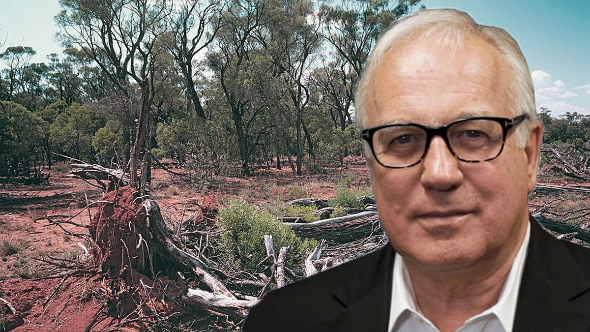 Alan Kohler: Labor fiddles while Australia burns