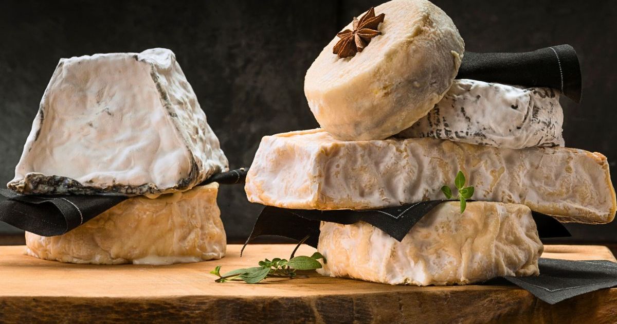 The cheese dilemma and how a blue variety might be the key