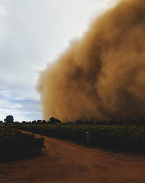 Health warning issued ahead of dust storms, more rain