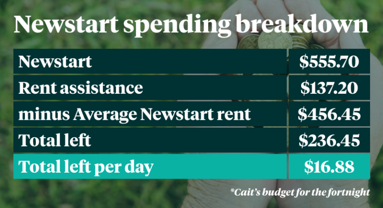 I lived off Newstart for two weeks to see how far it actually goes