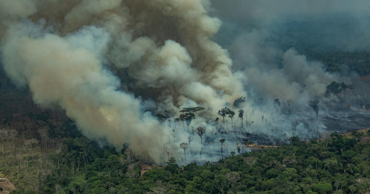 The Amazon is burning: Here's everything you need to know