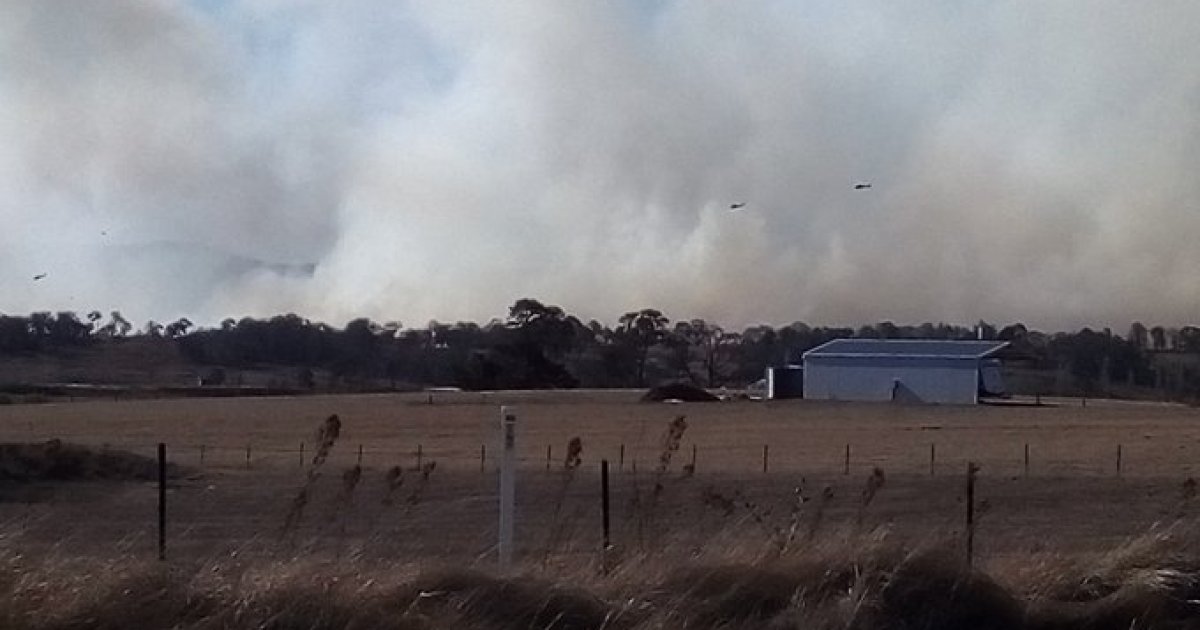 Tenterfield: Drought-stricken NSW region on fire again