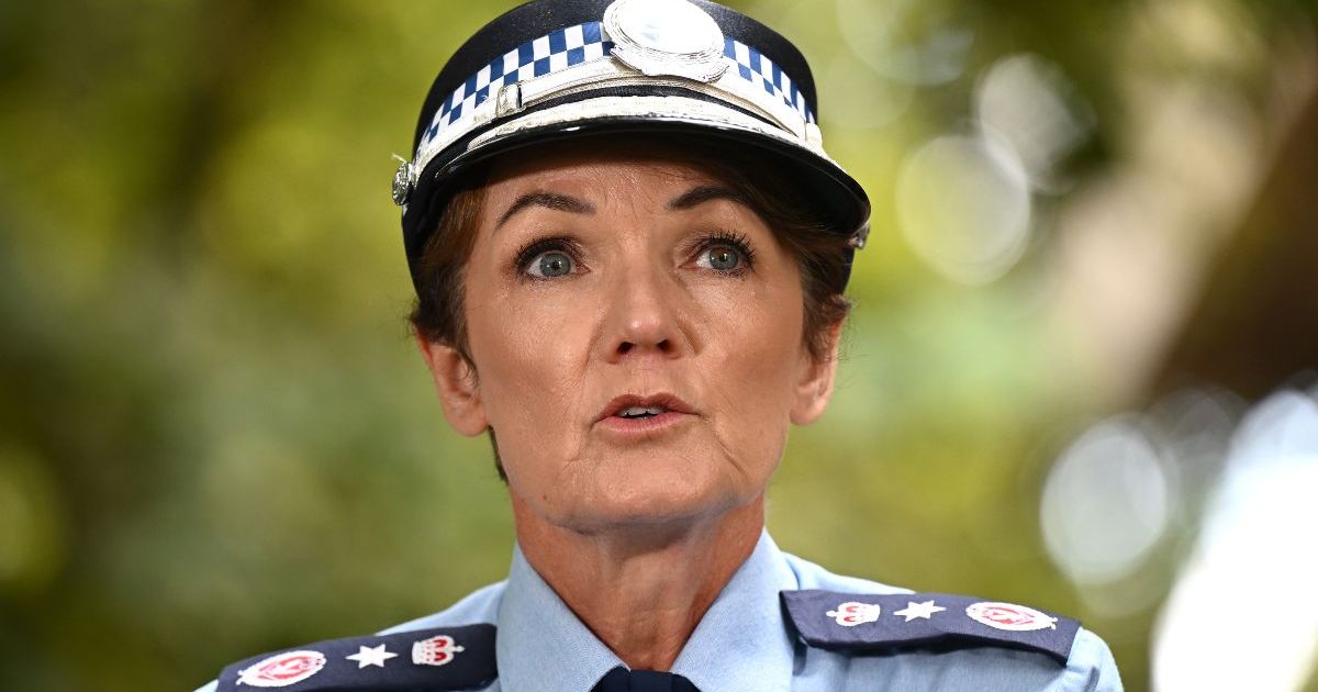 Top cop quits force after headline-plagued tenure