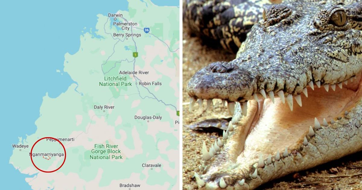 'Devastating' find after girl reportedly attacked by crocodile