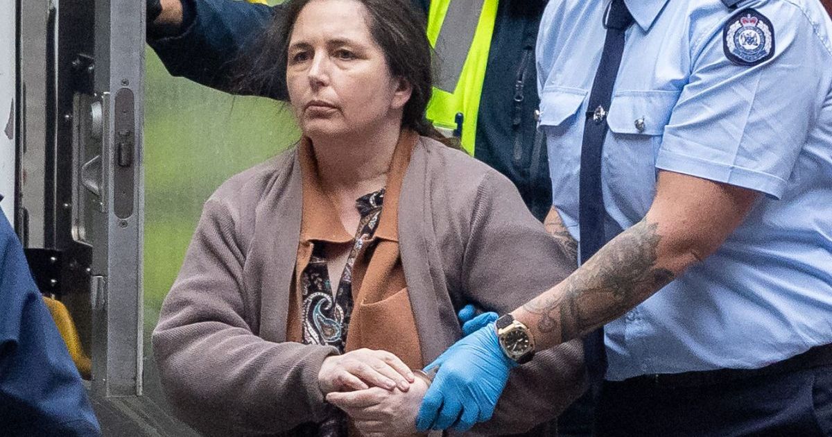 How murderer Erin Patterson will fight her convictions